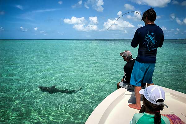 Sugarloaf Key Reef & Island Excursions with Capt. Clint Moore
